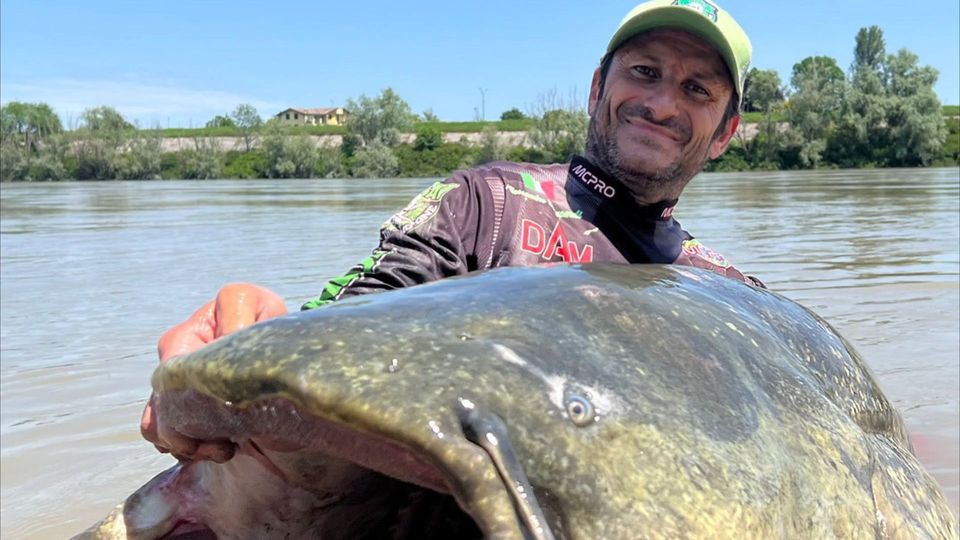 Überraschender Fund: Rekord-Wels in Italien gefangen - BuzzClips